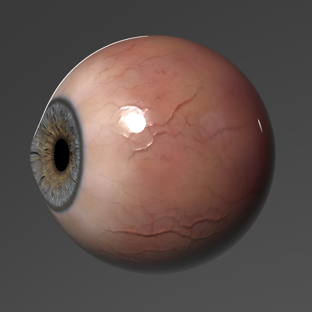 Realistic Base Mesh 3D Model - TurboSquid 1967264