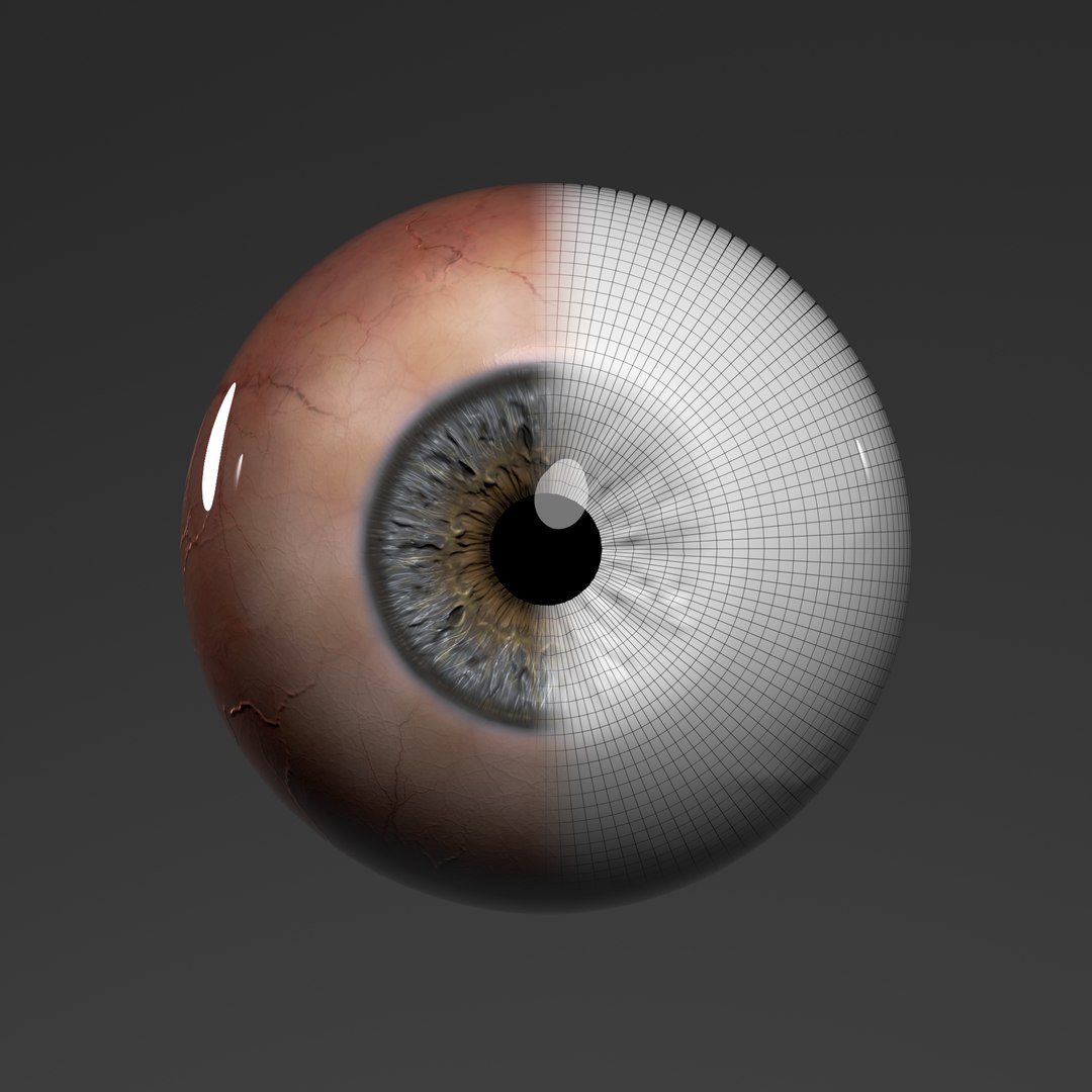 Realistic Base Mesh 3D Model - TurboSquid 1967264