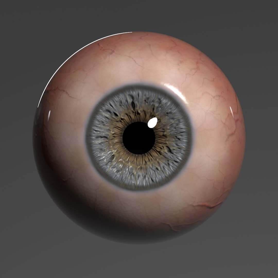 Realistic Base Mesh 3D Model - TurboSquid 1967264