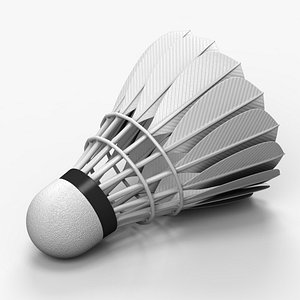 Shuttlecock 3D Models for Download | TurboSquid
