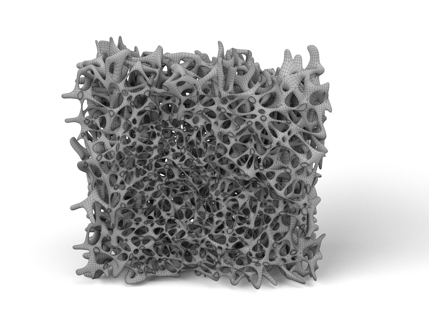 Bone structure anatomy model - TurboSquid 1716153