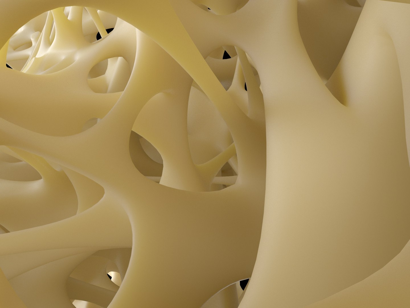 Bone structure anatomy model - TurboSquid 1716153