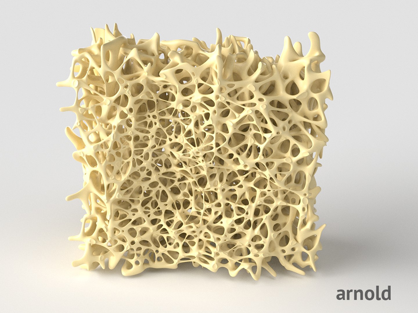 Bone structure anatomy model - TurboSquid 1716153