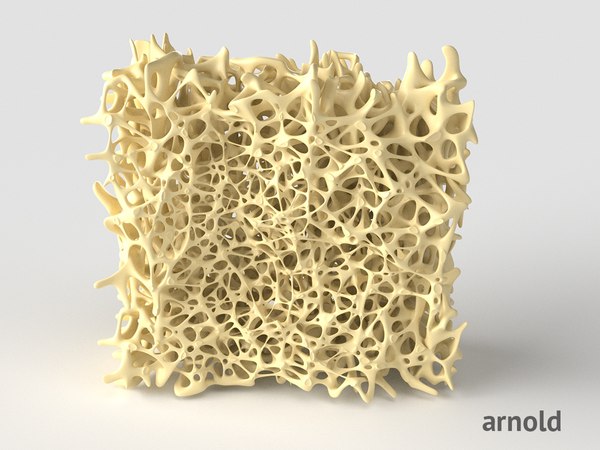 Bone structure anatomy model - TurboSquid 1716153