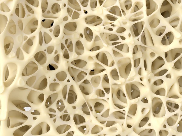 Bone structure anatomy model - TurboSquid 1716153