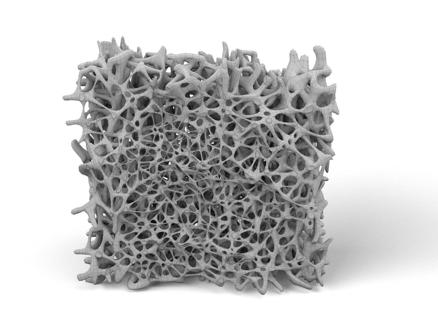 Bone structure anatomy model - TurboSquid 1716153