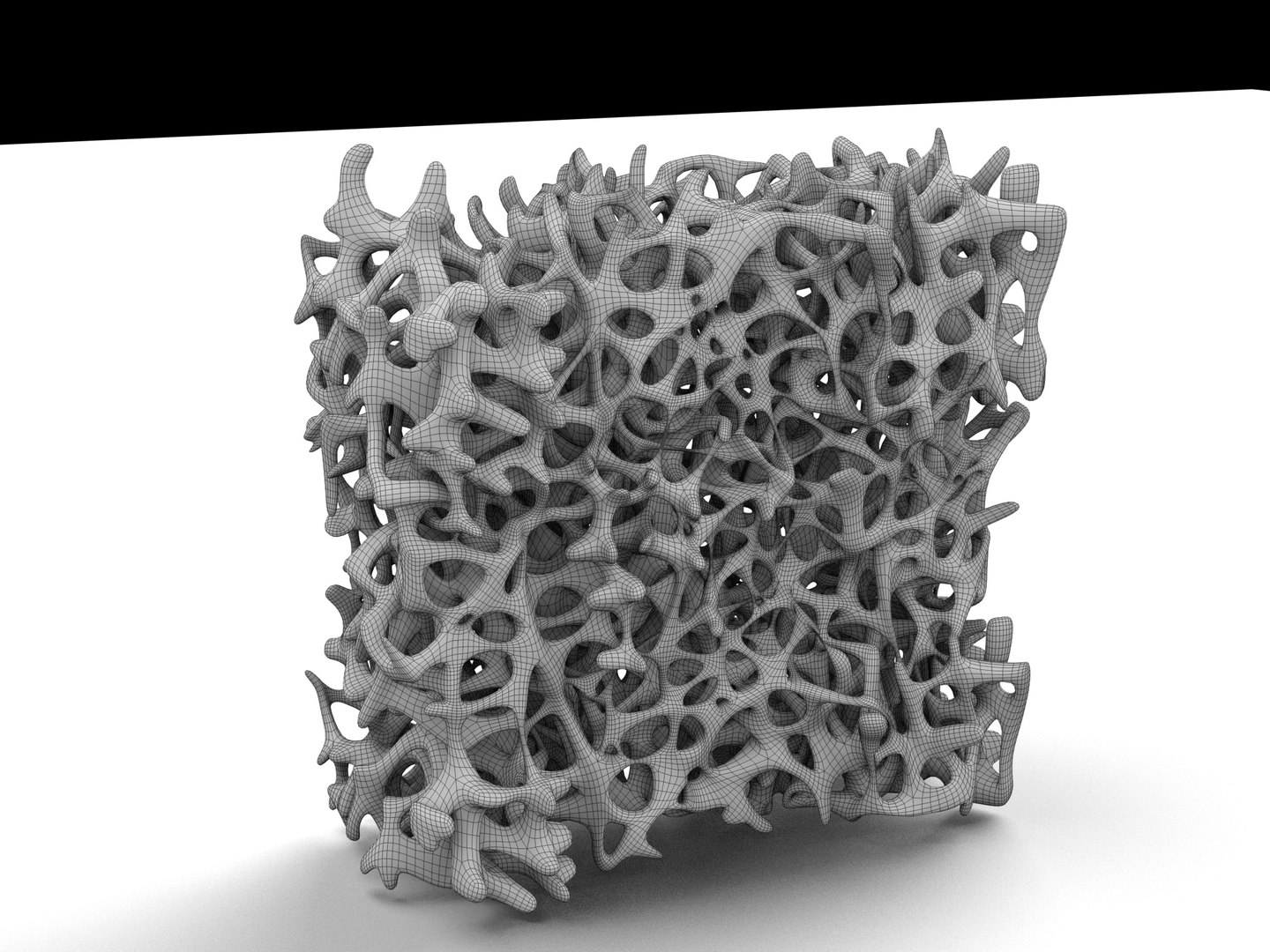 Bone structure anatomy model - TurboSquid 1716153