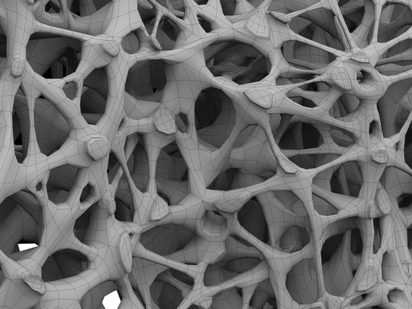 Bone structure anatomy model - TurboSquid 1716153