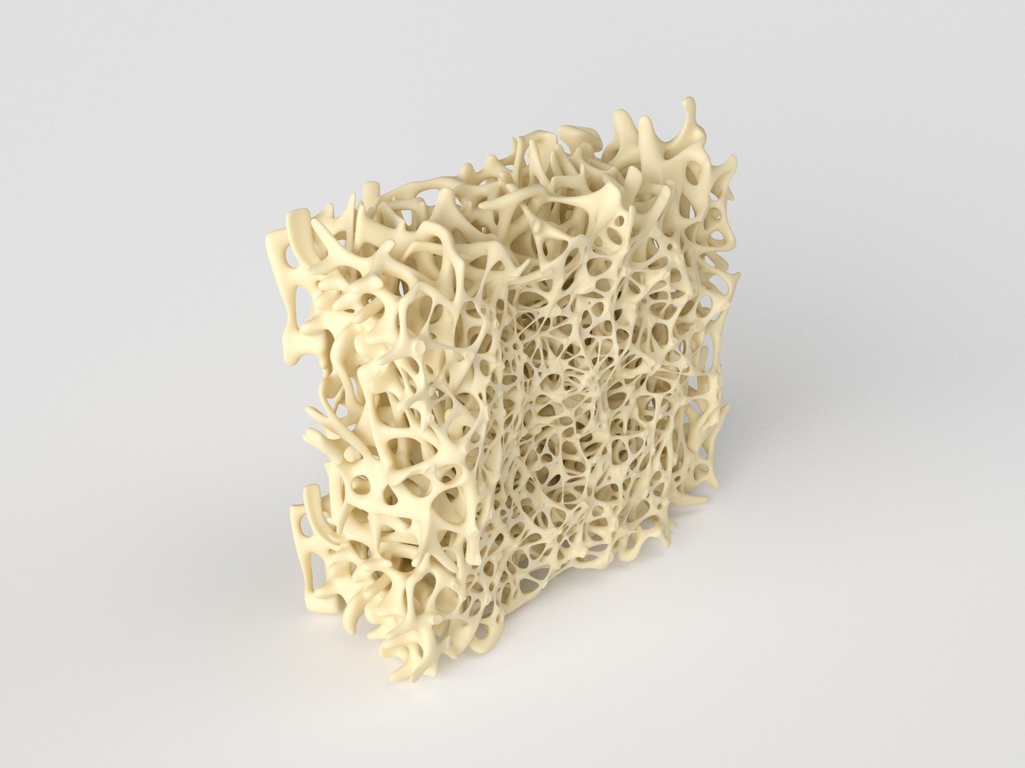 Bone structure anatomy model - TurboSquid 1716153
