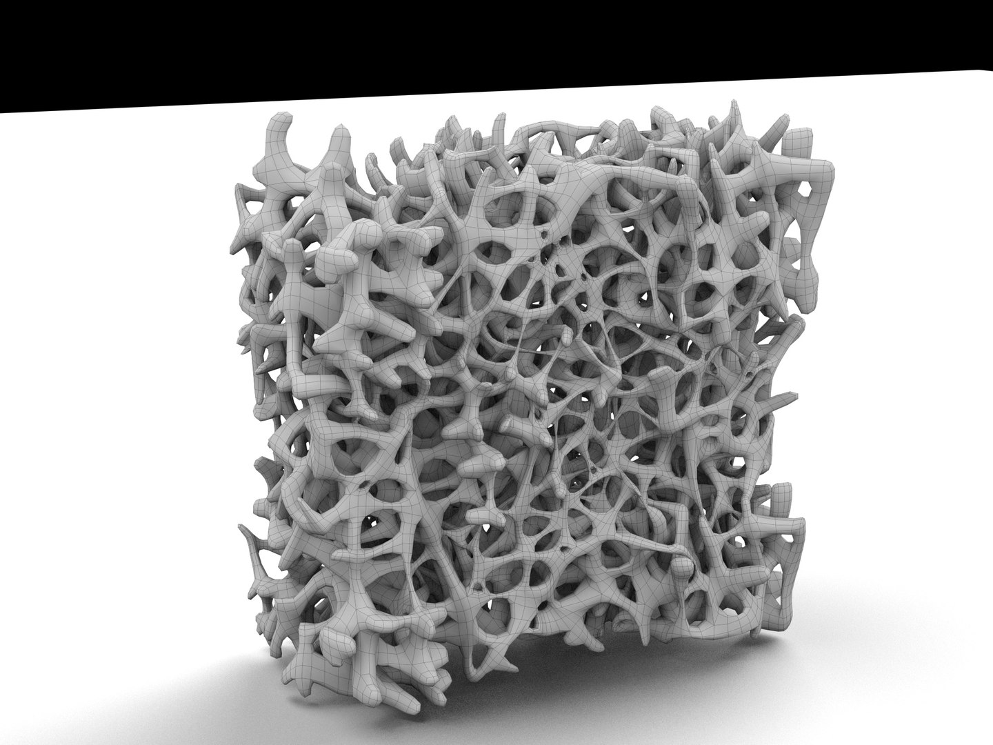 Bone structure anatomy model - TurboSquid 1716153