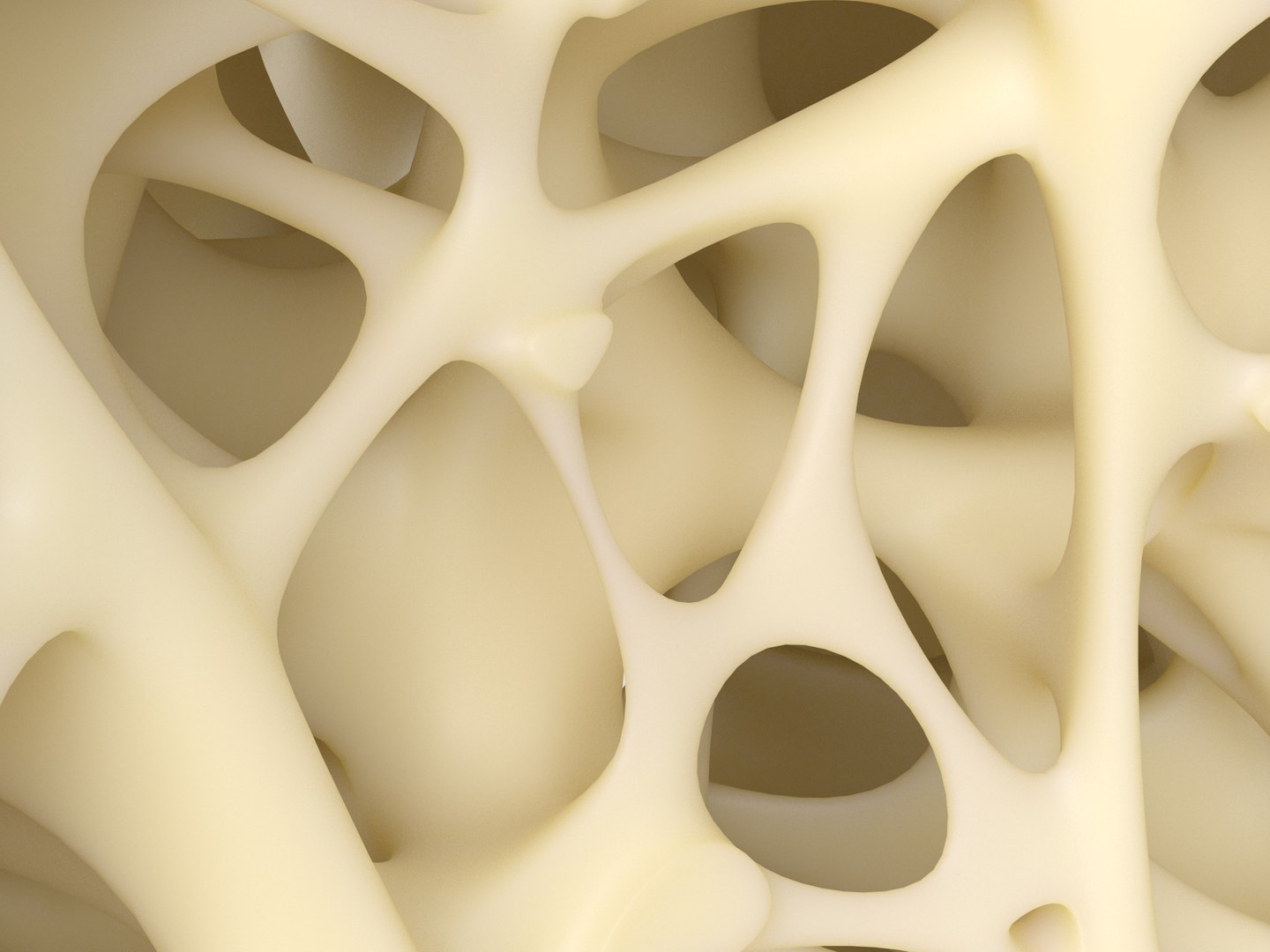 Bone structure anatomy model - TurboSquid 1716153