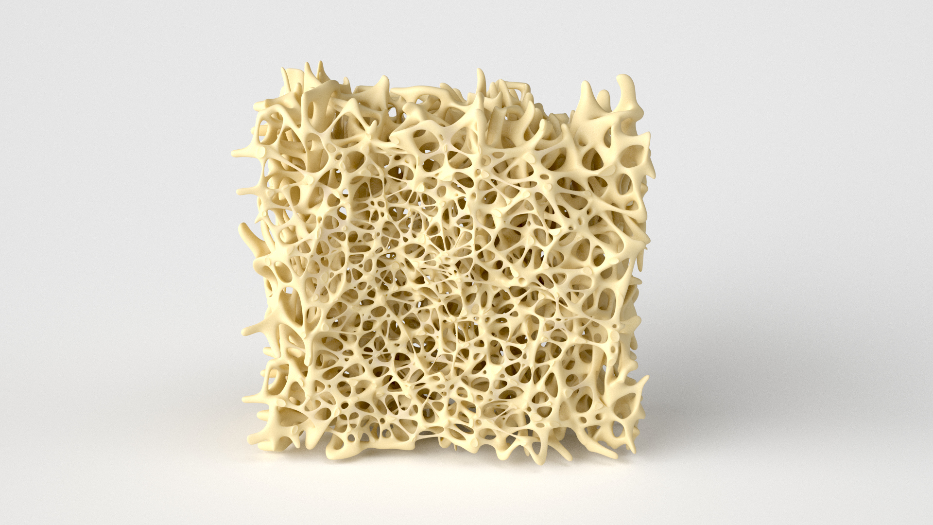 Bone structure anatomy model - TurboSquid 1716153