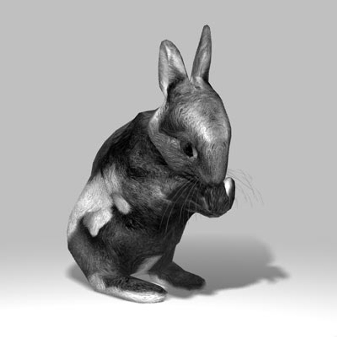 3d Model Bunny Animation