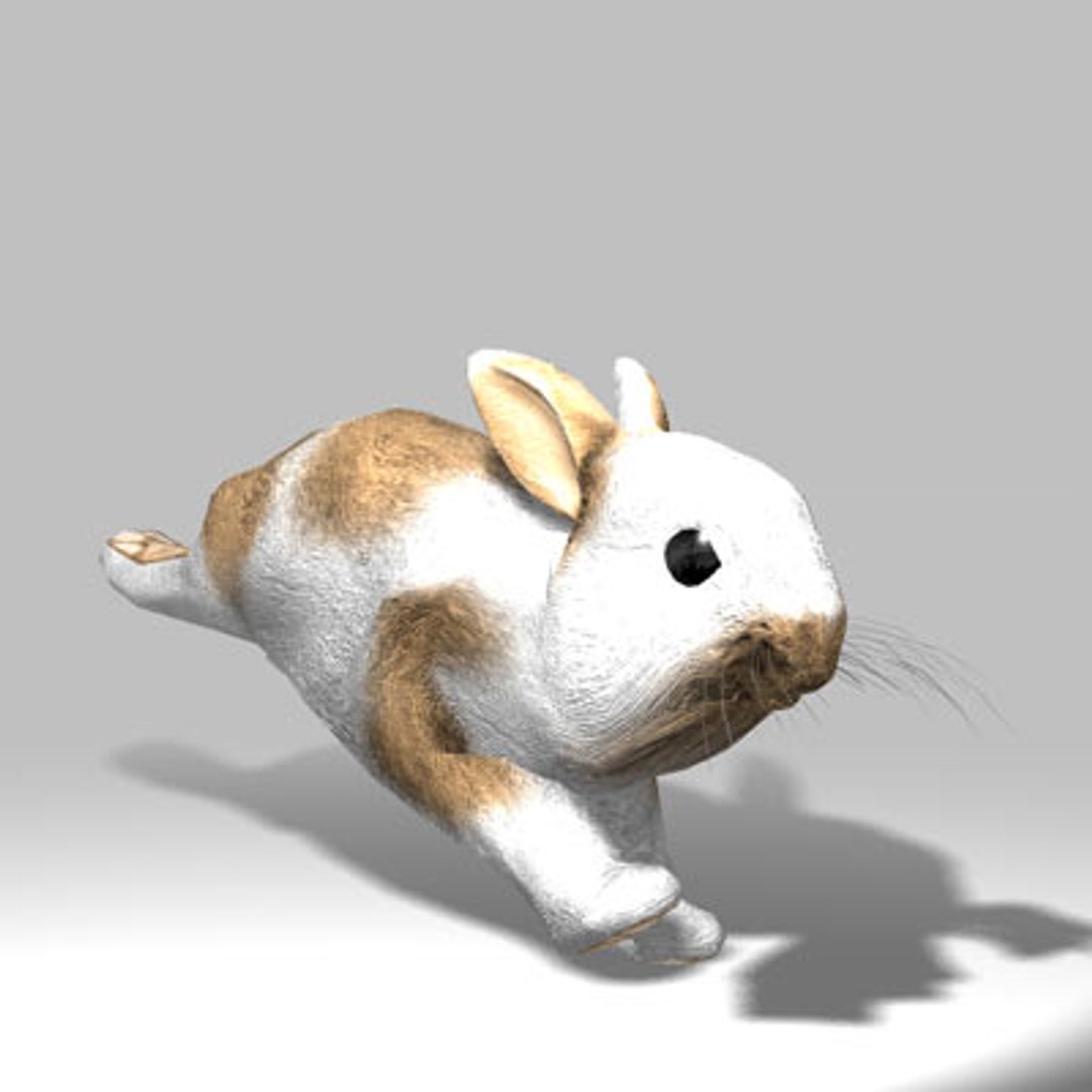 3d Model Bunny Animation