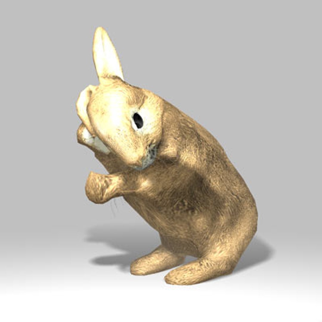 3d Model Bunny Animation