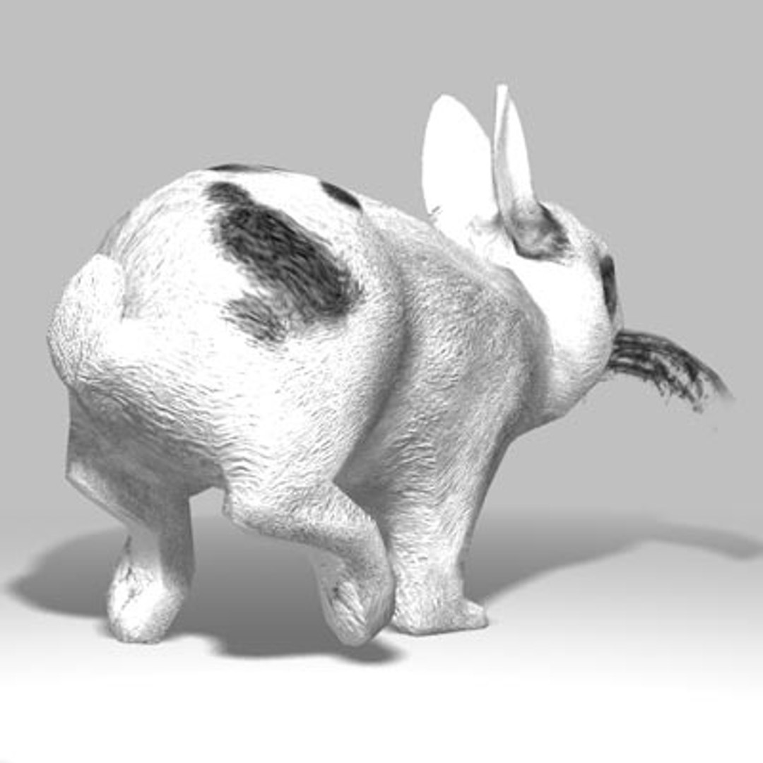 3d Model Bunny Animation