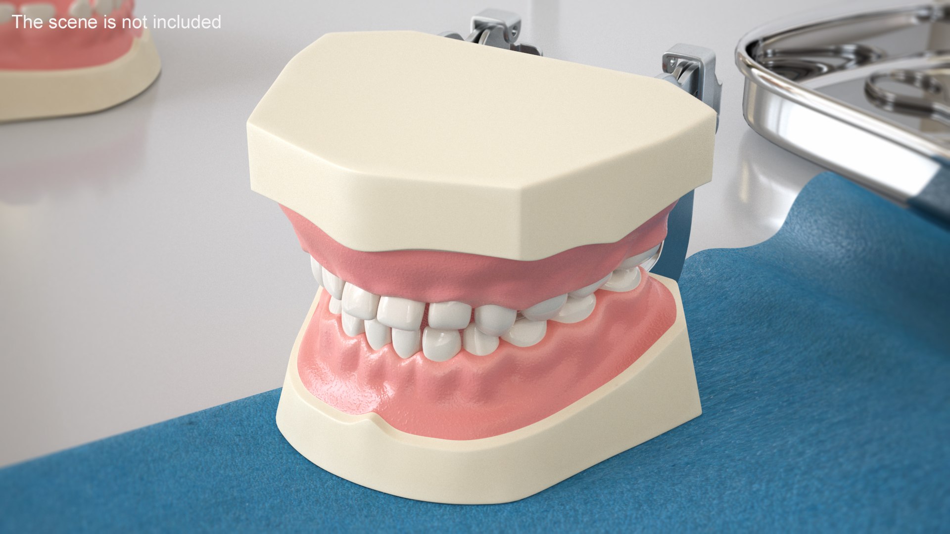 Dental Anatomy Educational Pediatric Kit With Removable Open Bite Teeth ...
