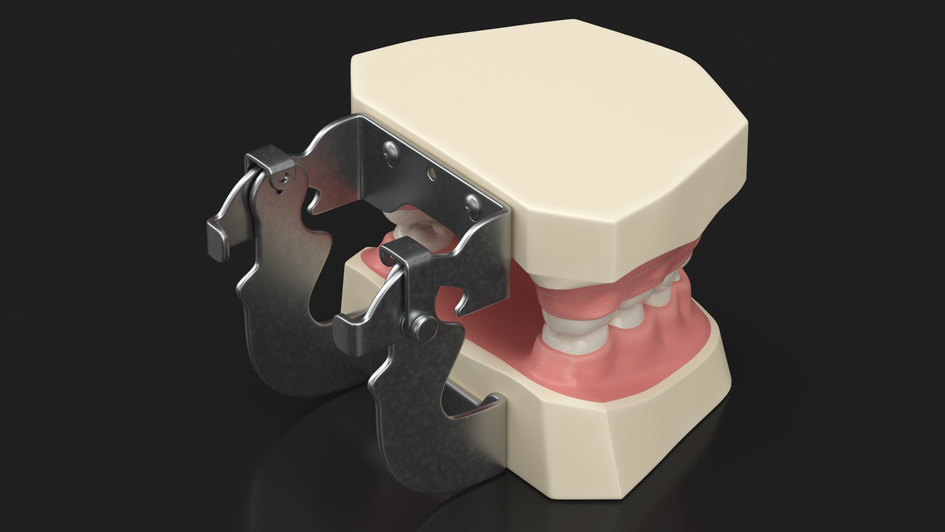 Dental Anatomy Educational Pediatric Kit With Removable Open Bite Teeth ...