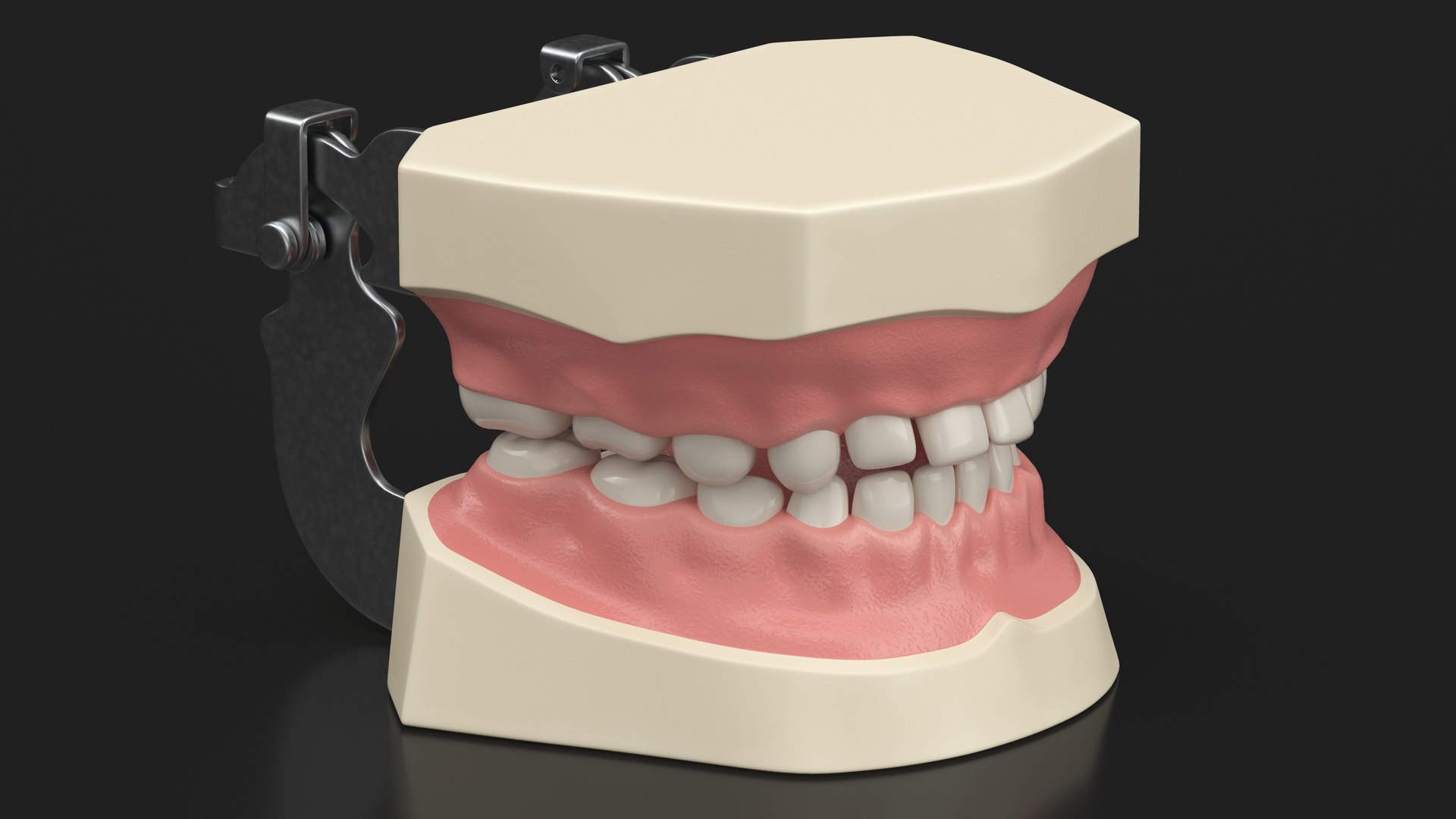 Dental Anatomy Educational Pediatric Kit With Removable Open Bite Teeth ...