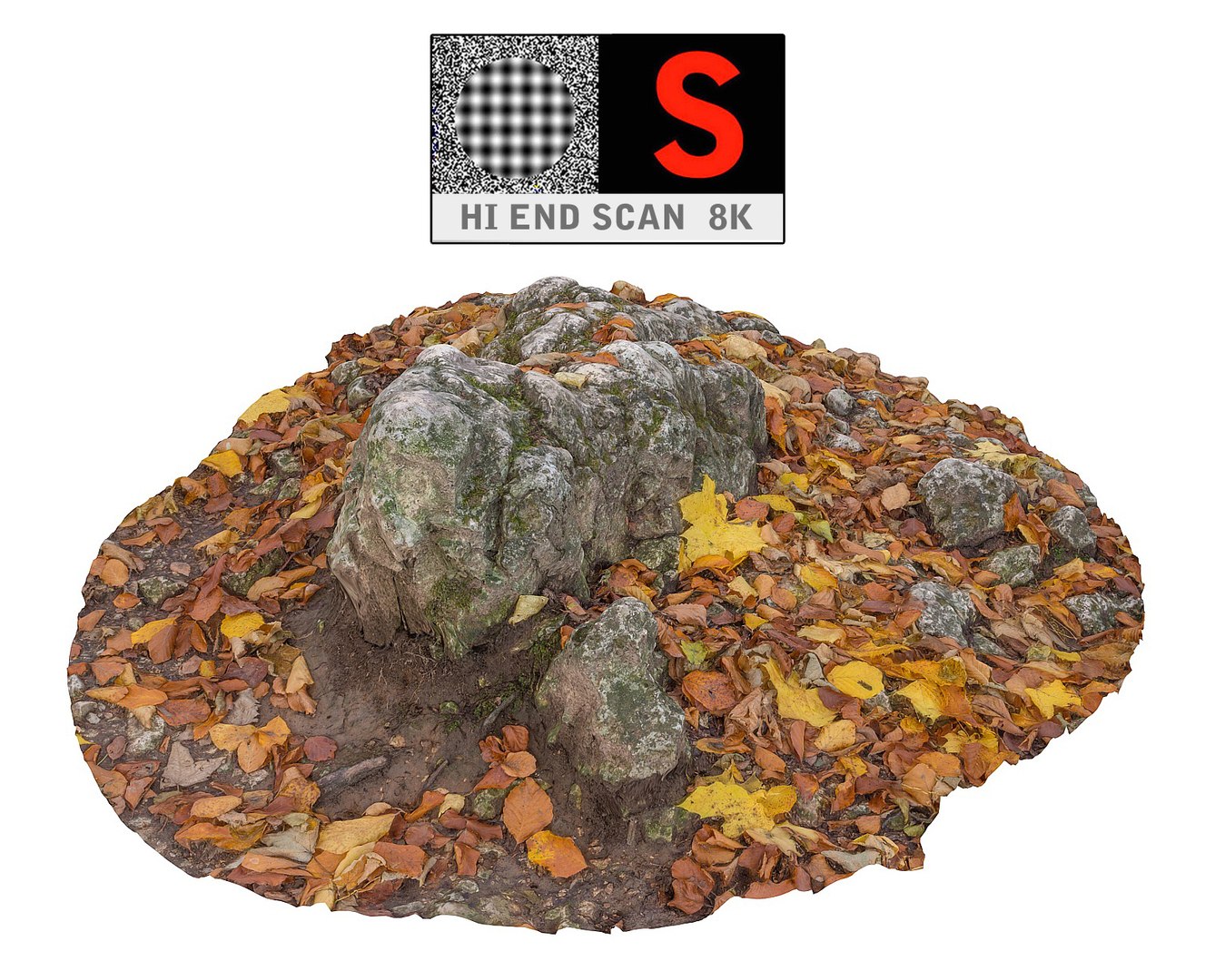 max rock forest autumn 8k