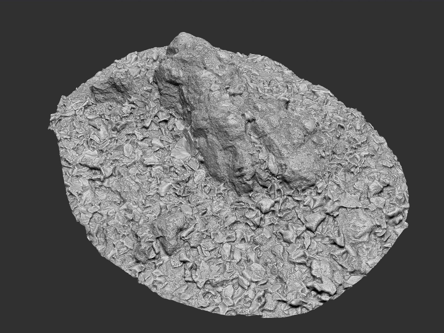 max rock forest autumn 8k