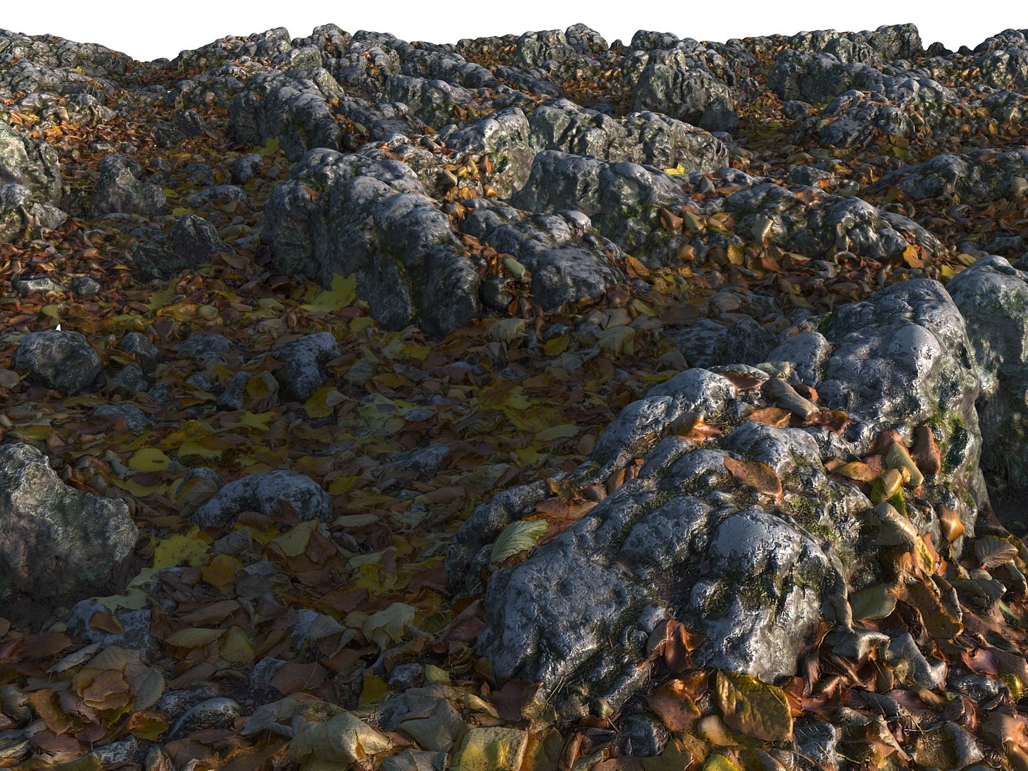 max rock forest autumn 8k