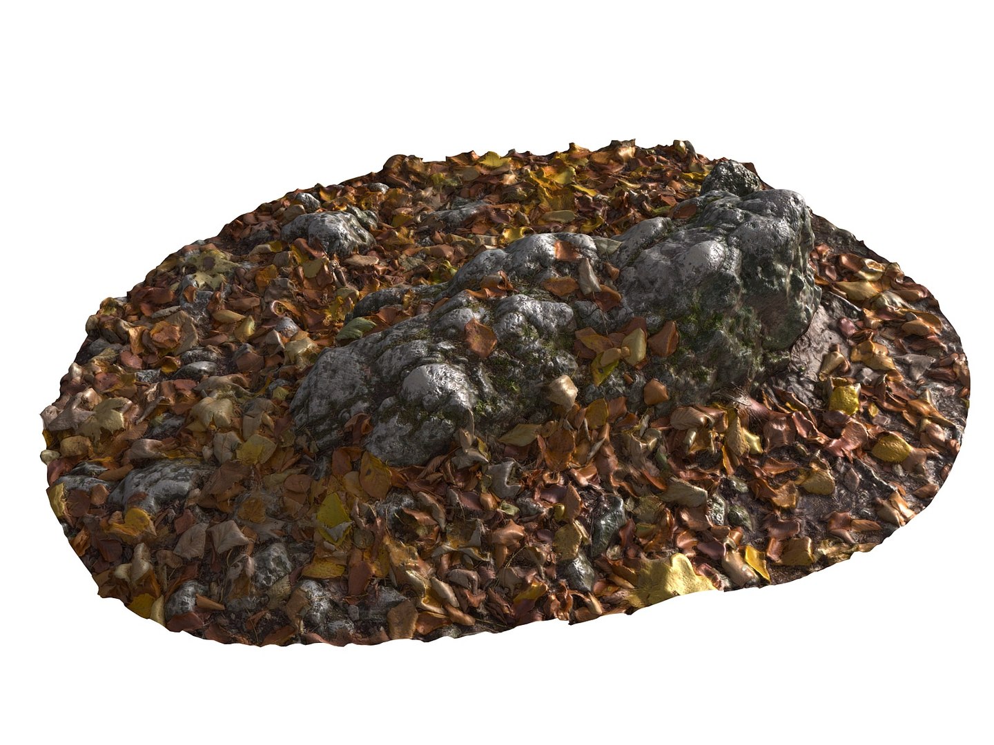 max rock forest autumn 8k