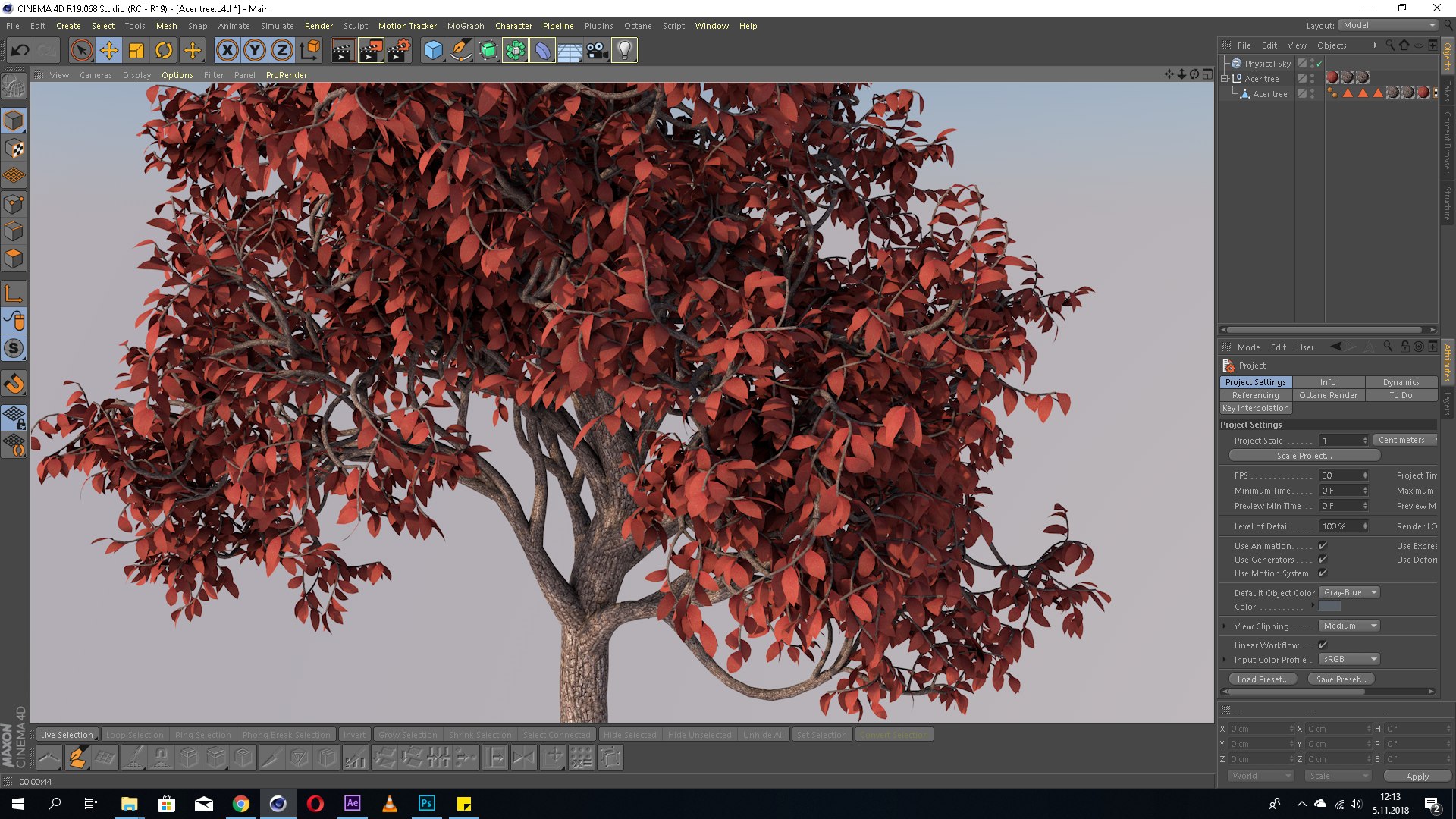 3D acer tree - TurboSquid 1343391