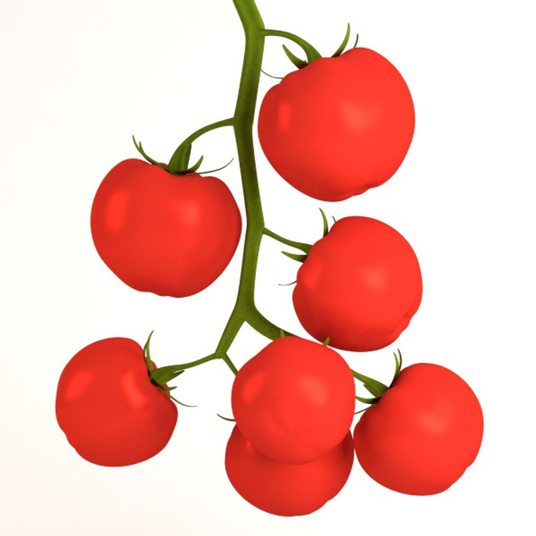 cherry tomato 3d model