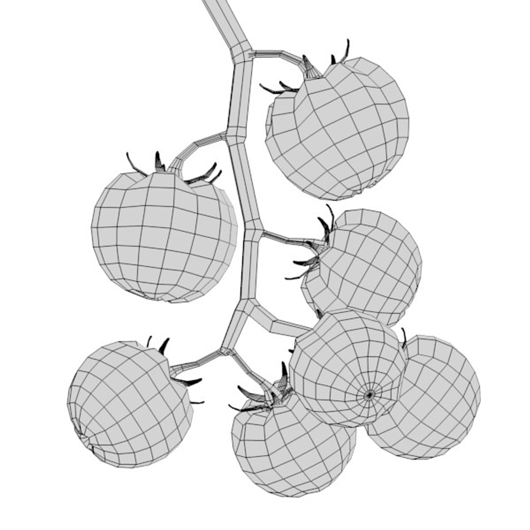 cherry tomato 3d model