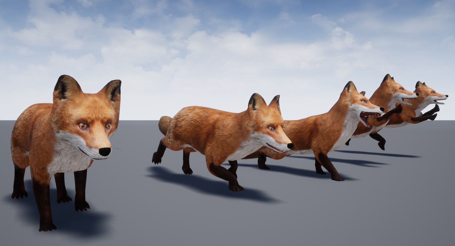 3D Model Fox Animations - TurboSquid 1234999