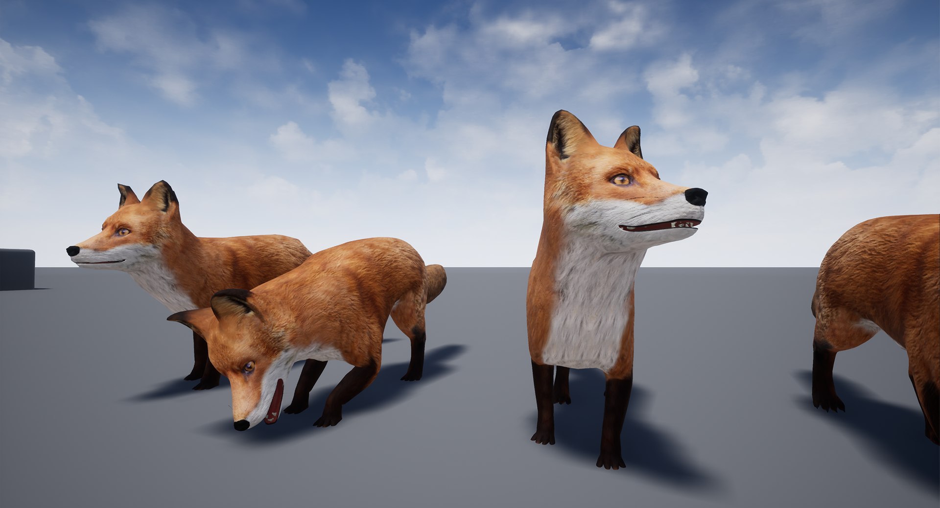 3D Model Fox Animations - TurboSquid 1234999
