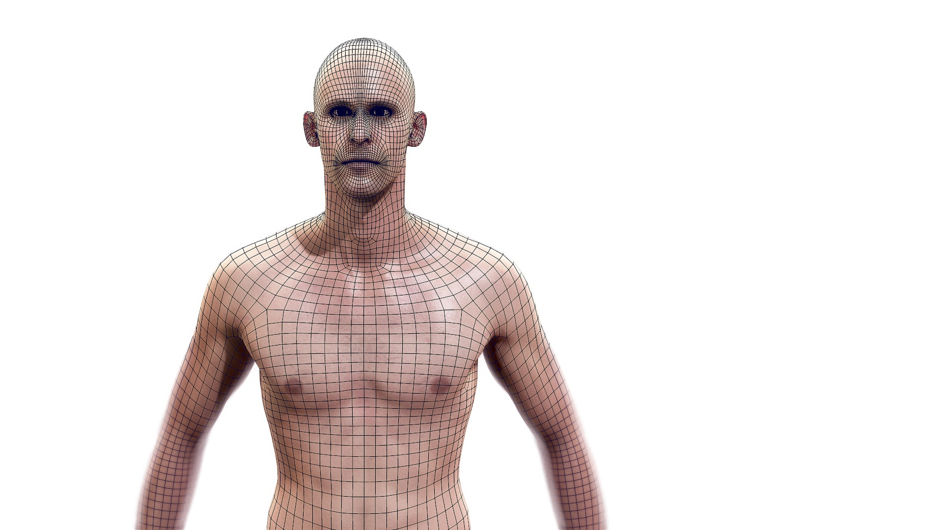 3d Character Humans - Scans