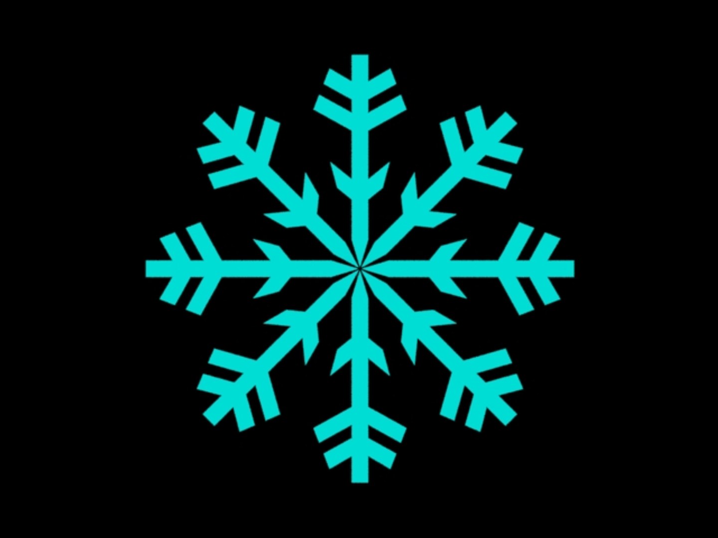 Snow Flake Snowflake Max