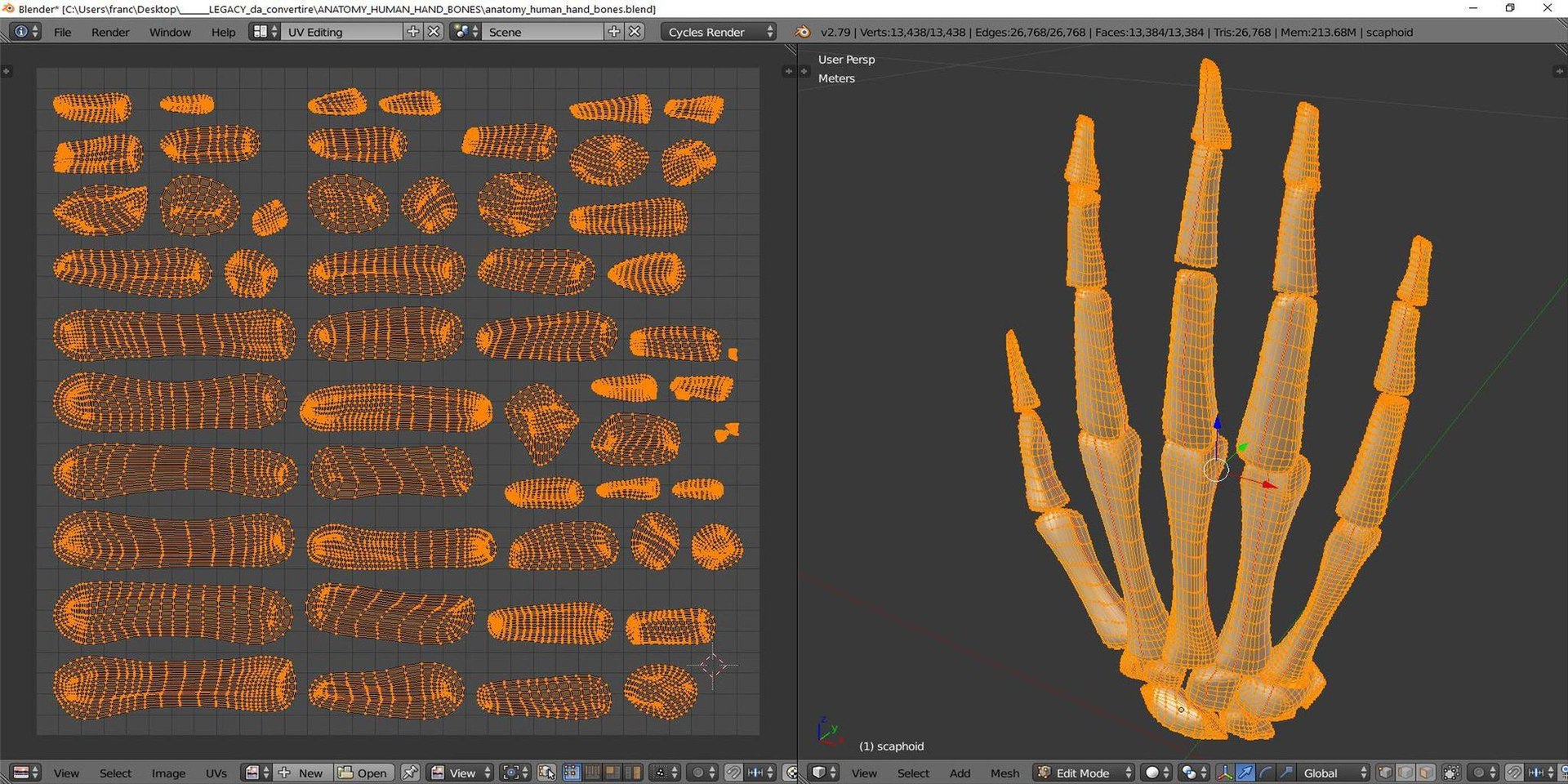 Human Hand Bones 3d Model