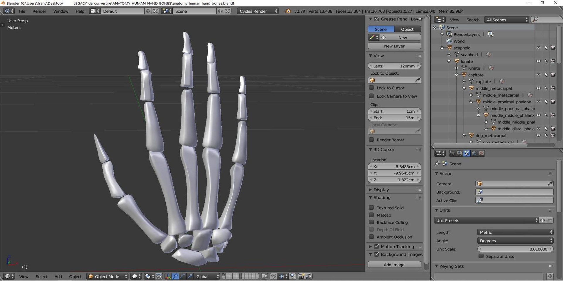 Human Hand Bones 3d Model