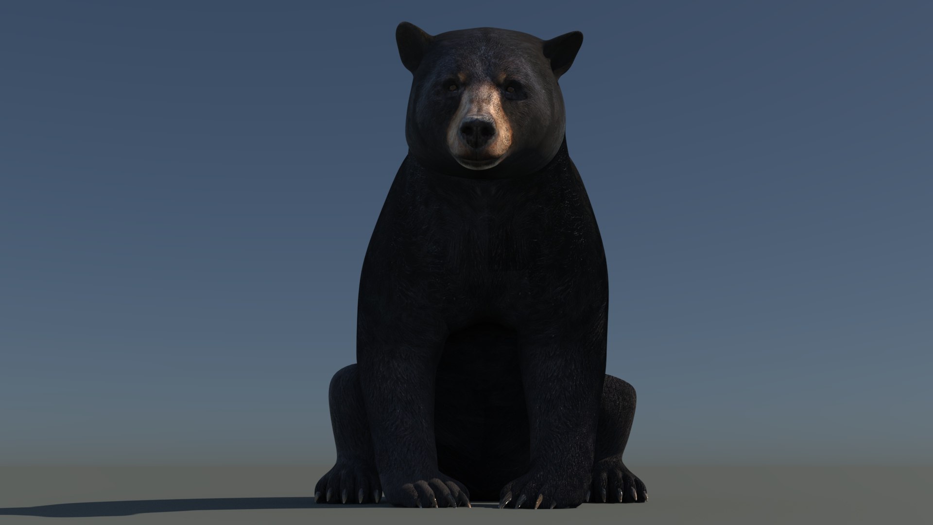3D Black Bear Animal - TurboSquid 1605699