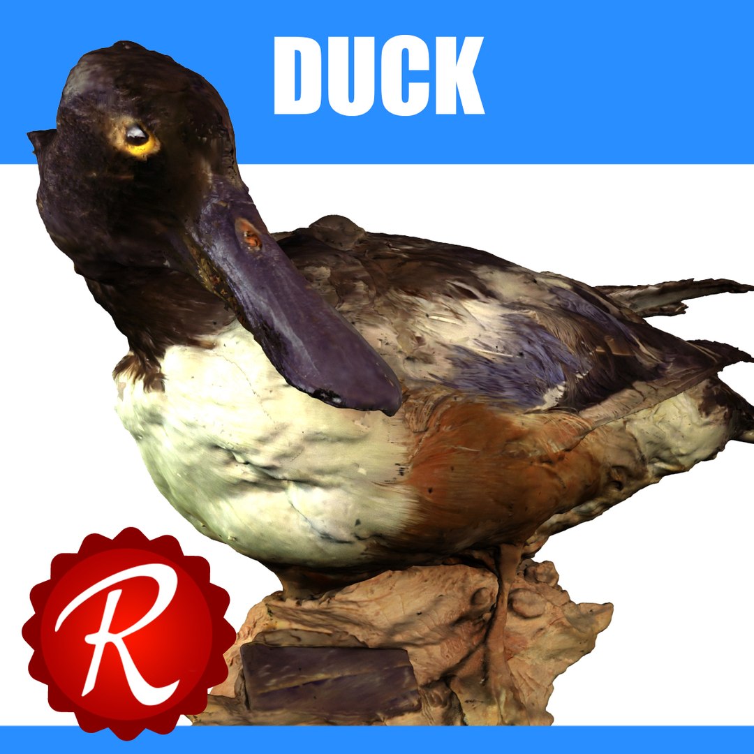3ds max duck