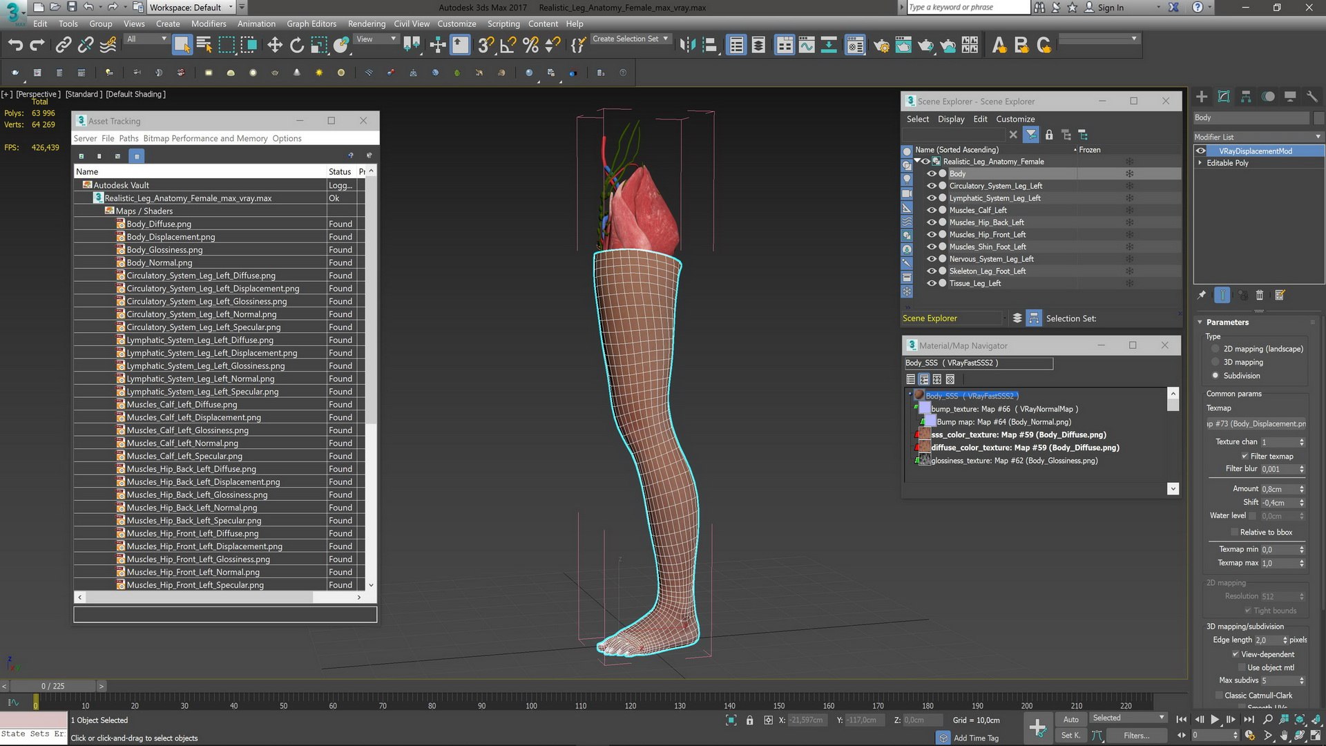 3D model Realistic Leg Anatomy Female - TurboSquid 2128239