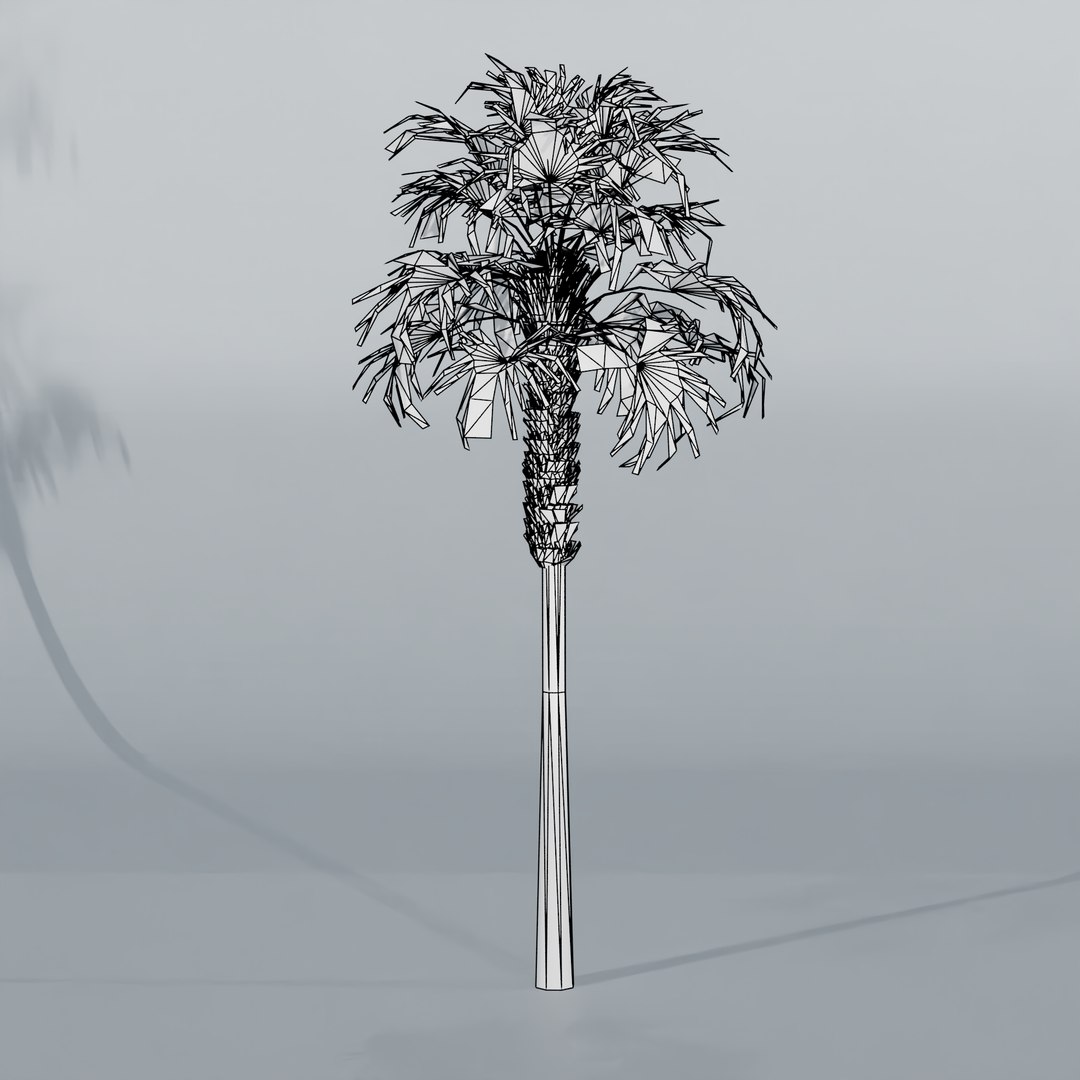 3D SABAL PALMETTO - TurboSquid 2342751