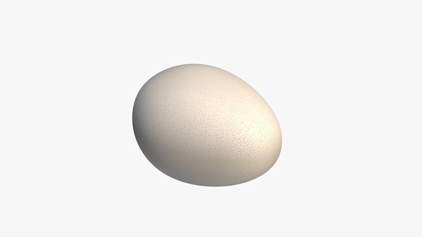 3d realistic white egg model