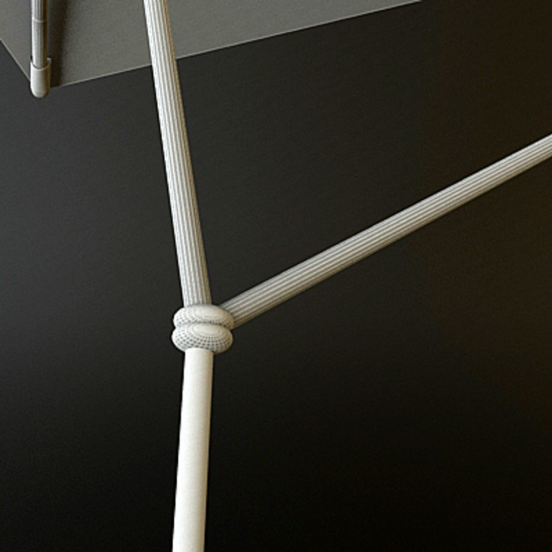 Kite 3d Model