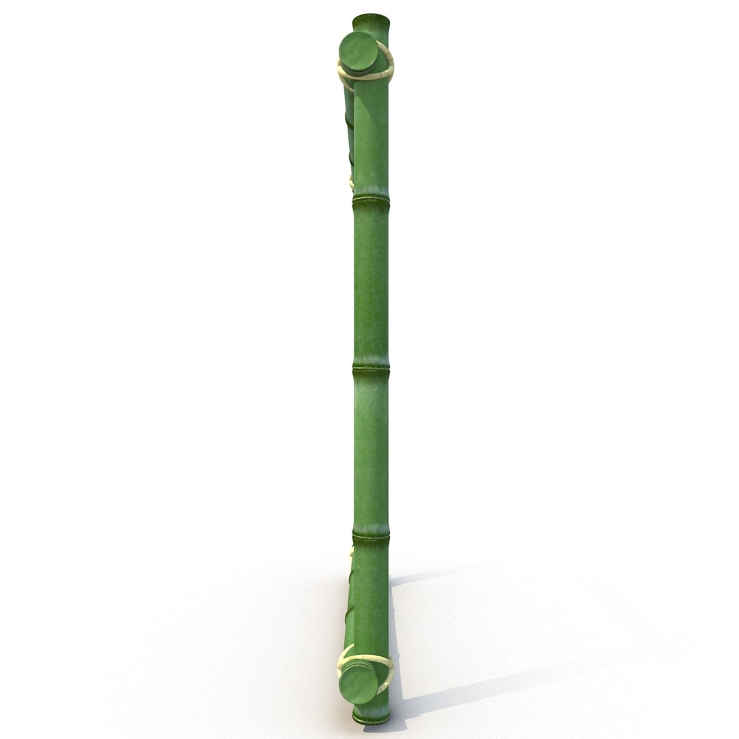 3d model bamboo frame