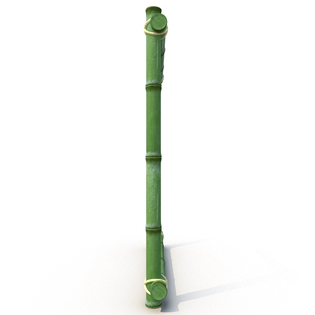 3d model bamboo frame