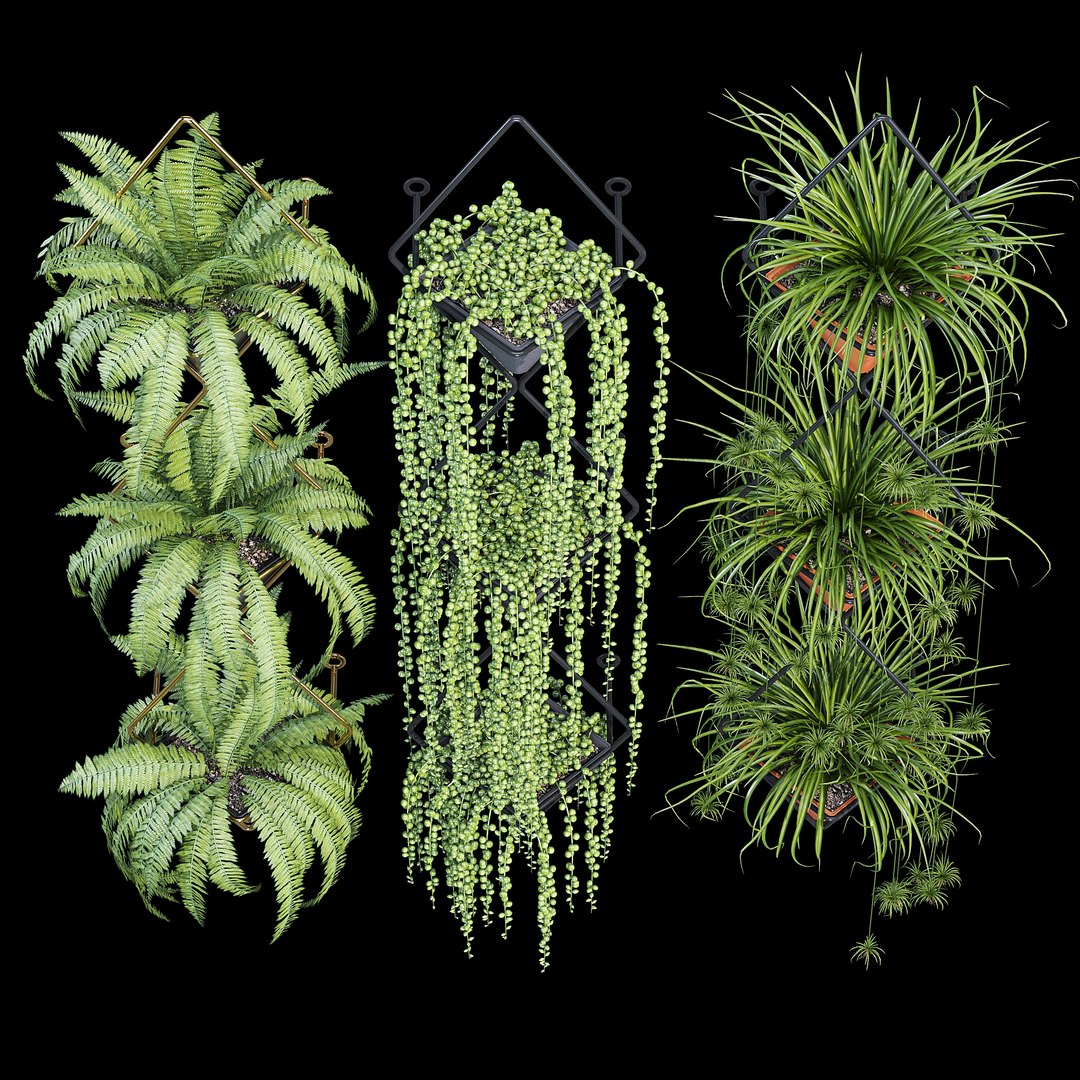 Hanging 3D Model - TurboSquid 1657348
