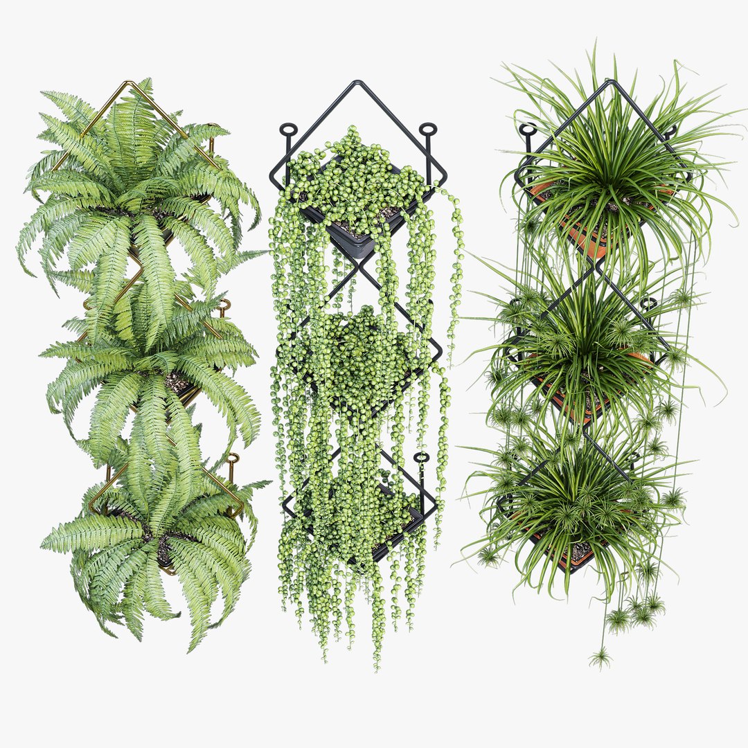 Hanging 3D Model - TurboSquid 1657348