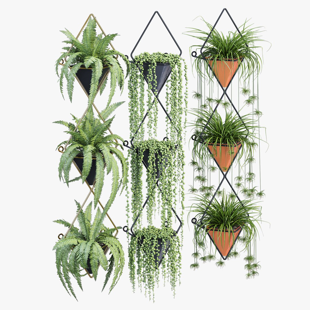 Hanging 3D Model - TurboSquid 1657348