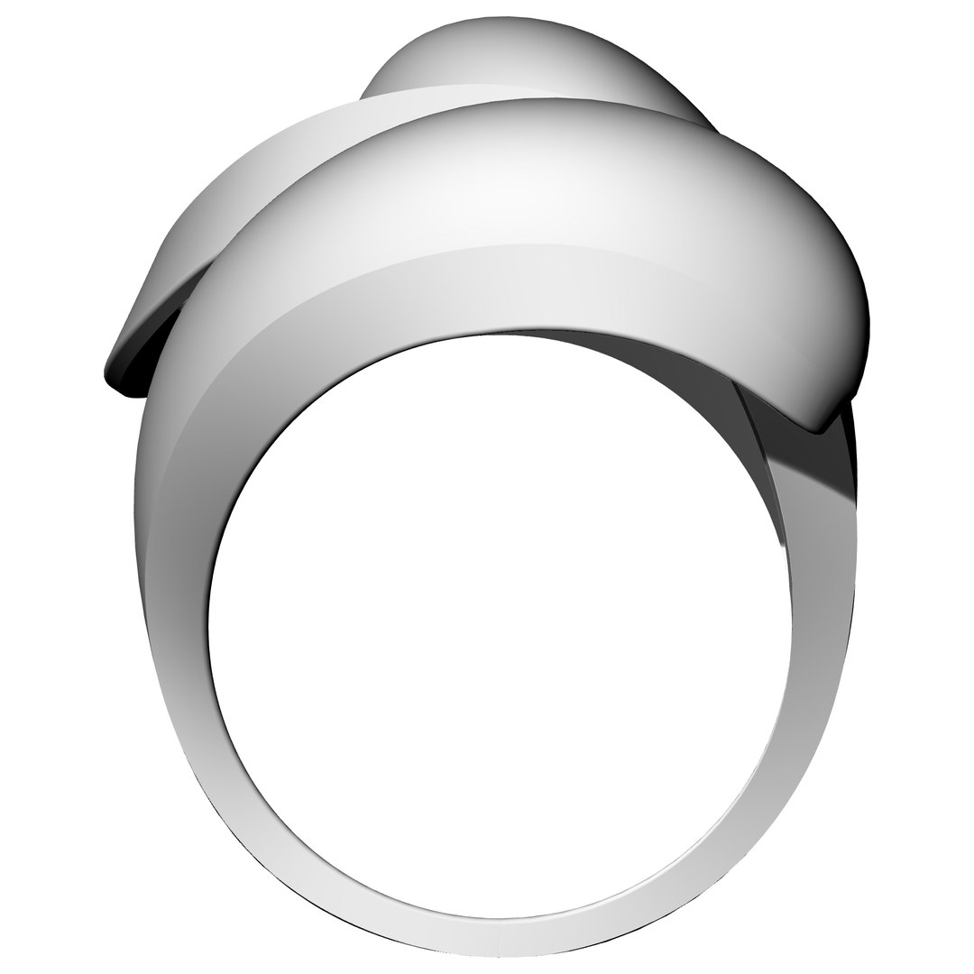 Ring Matrix Rhino 3D Model - TurboSquid 1707615