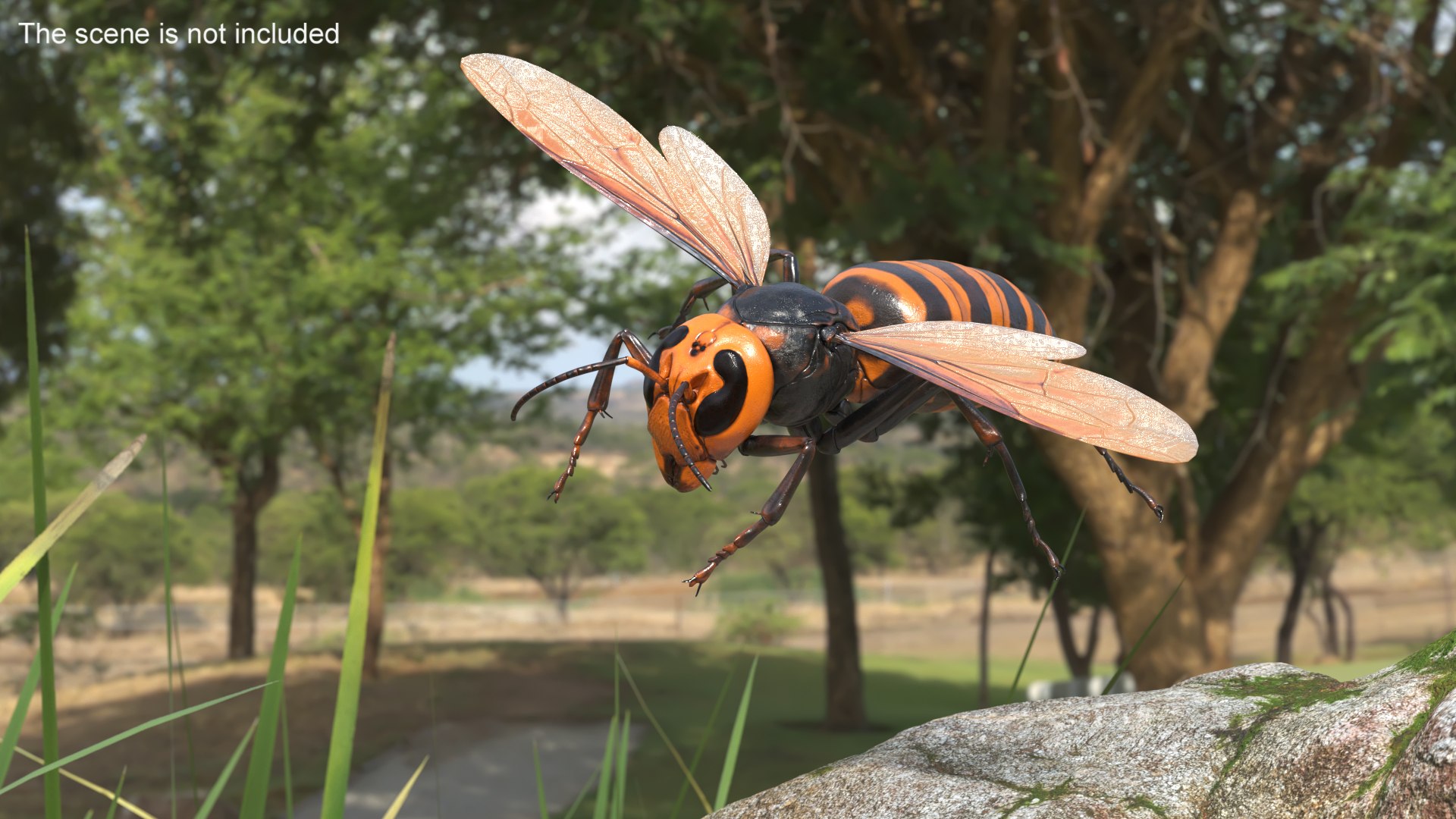 Vespa Mandarinia Flying Pose 3D - TurboSquid 2274442