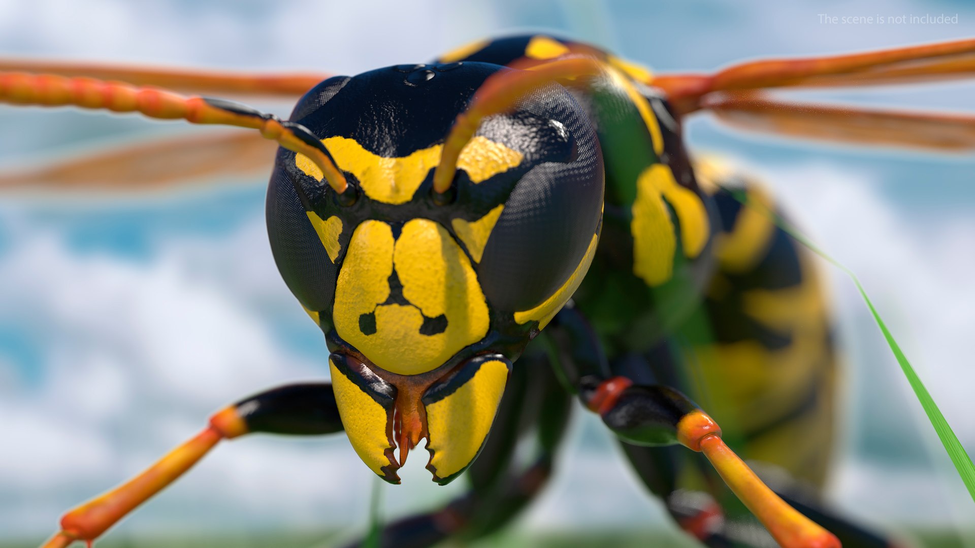 Paper Wasp 3D Model - TurboSquid 1629202